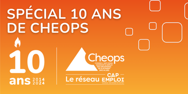 Cheops, Conseil national Handicap & Emploi - réseau Cap Emploi